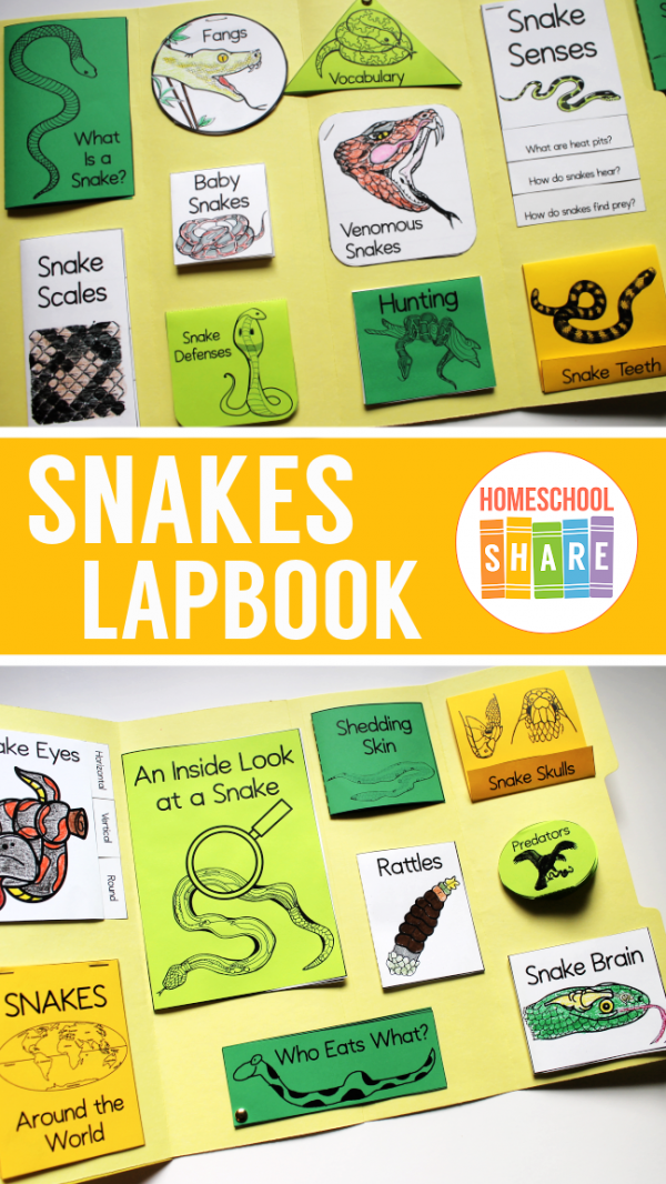 Snakes Lapbook - Homeschool Share