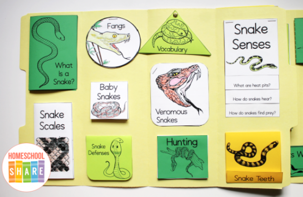 Snakes Lapbook - Homeschool Share