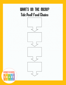 Free Pagoo Notebook - Homeschool Share