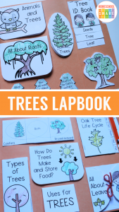 Free Trees Unit Study & Lapbook - Homeschool Share