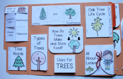 Free Trees Unit Study & Lapbook - Homeschool Share