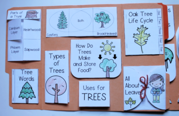 Free Trees Unit Study & Lapbook - Homeschool Share
