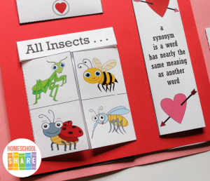 The Valentine Bears Unit Study & Lapbook - Homeschool Share