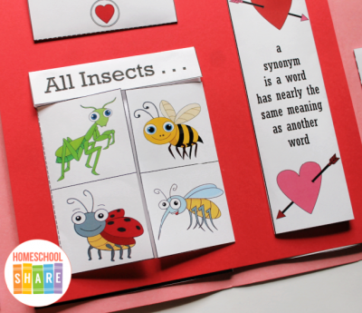 The Valentine Bears Unit Study & Lapbook - Homeschool Share