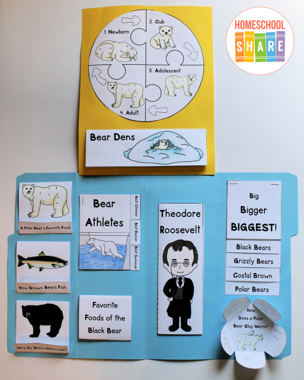 Bears Lapbook - Homeschool Share