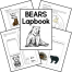 The Valentine Bears Unit Study & Lapbook - Homeschool Share