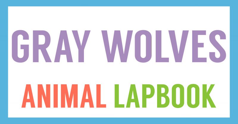 Lapbook Archives - Page 12 of 45 - Homeschool Share