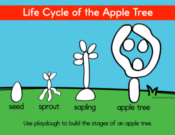 Free Apple Life Cycle Playdough Mats - Homeschool Share