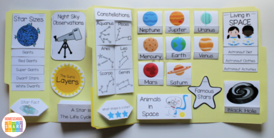 Creative Lapbook Ideas to Inspire Your Students - Homeschool Share