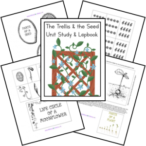The Trellis and the Seed Unit Study & Lapbook - Homeschool Share