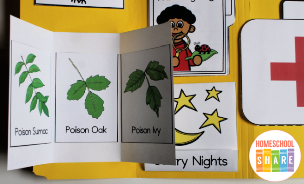 Camping Lapbook - Homeschool Share