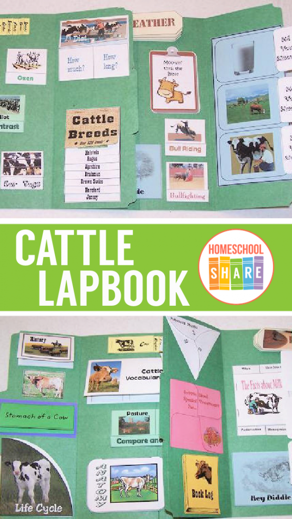 Free Cattle Lapbook - Homeschool Share