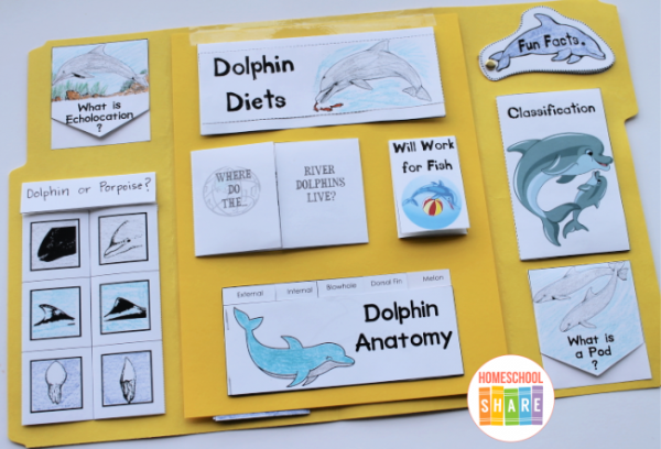 July Lapbook Ideas - Homeschool Share