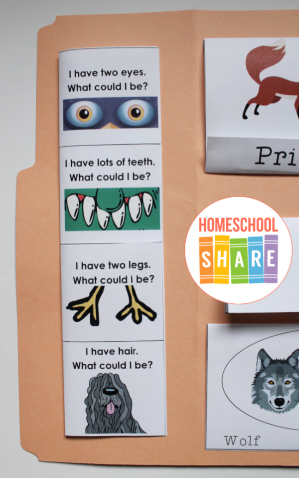 Flossie and the Fox Unit Study & Lapbook - Homeschool Share