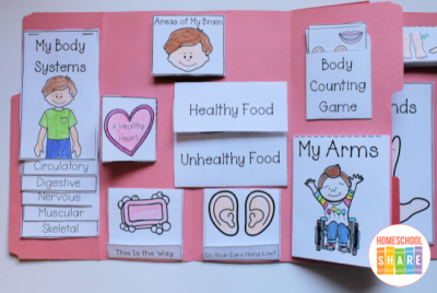 My Body Lapbook - Homeschool Share