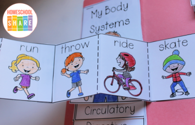 My Body Lapbook - Homeschool Share
