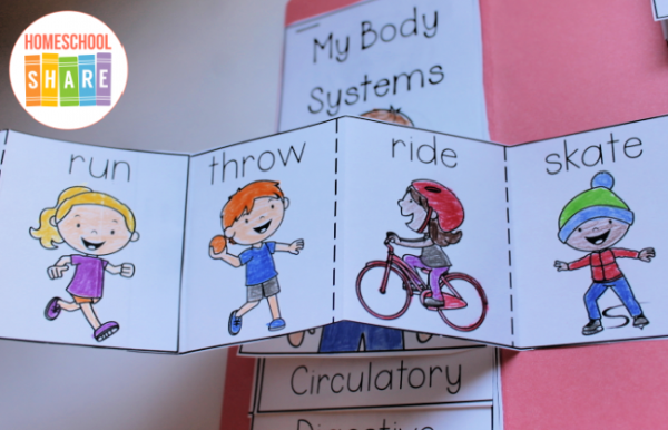My Body Lapbook - Homeschool Share