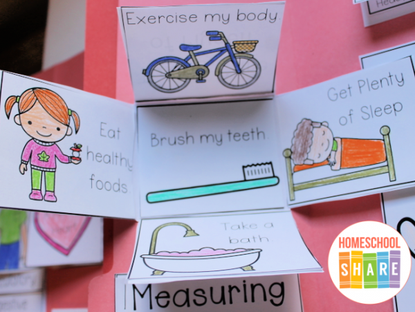 My Body Lapbook - Homeschool Share
