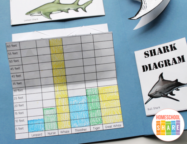 Sharks Lapbook - Homeschool Share