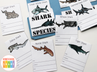 Sharks Lapbook - Homeschool Share