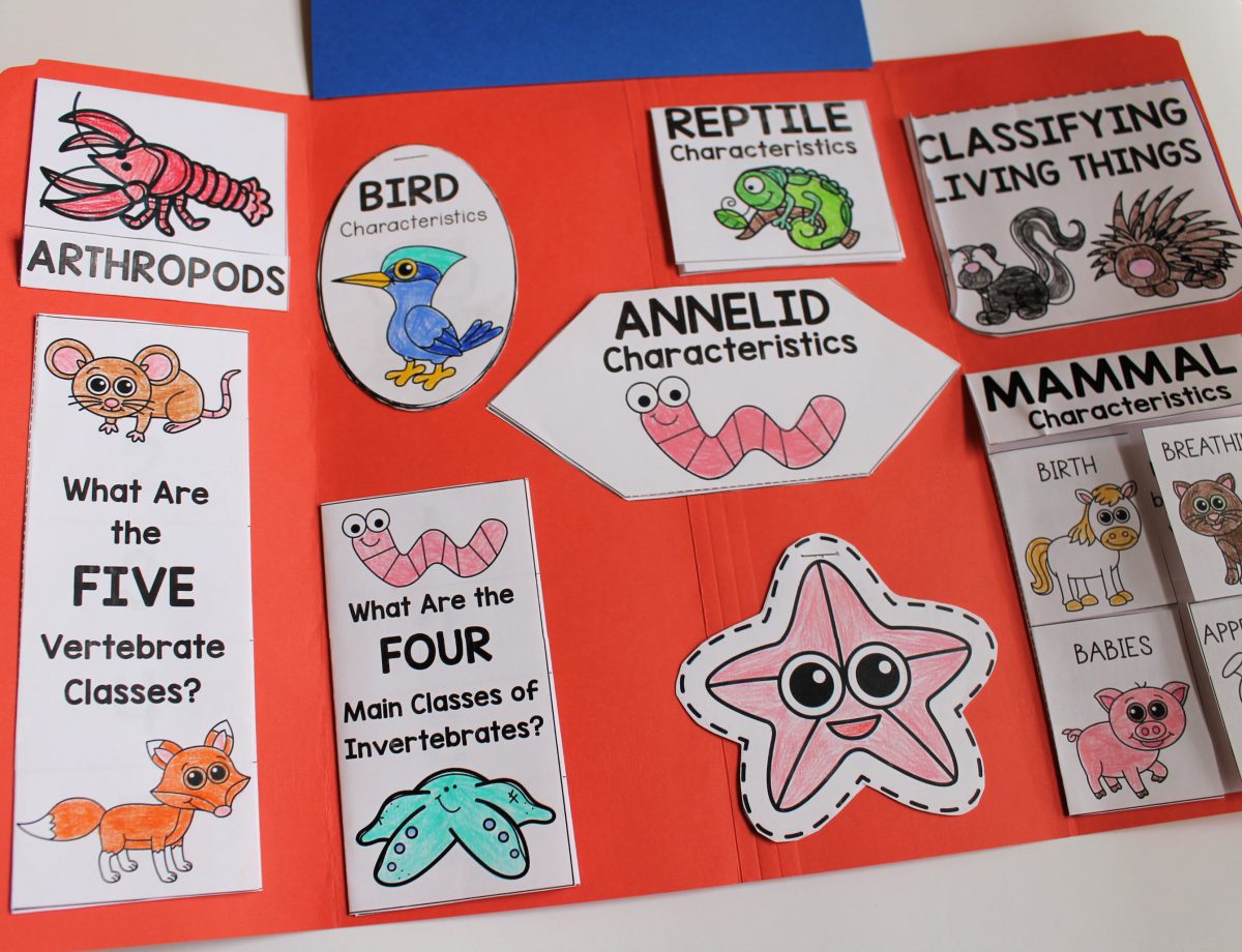 How to Make a Lapbook - Homeschool Share