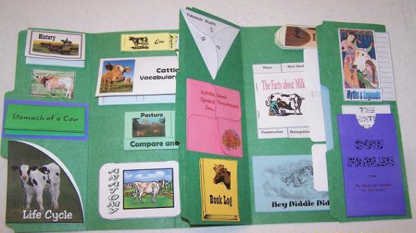 Free Cattle Lapbook - Homeschool Share