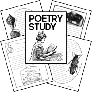 Poetry Lapbook - Homeschool Share