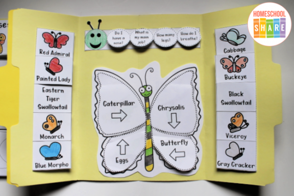 Free Butterfly Lapbook - Homeschool Share