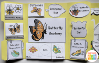 Free Butterfly Lapbook - Homeschool Share