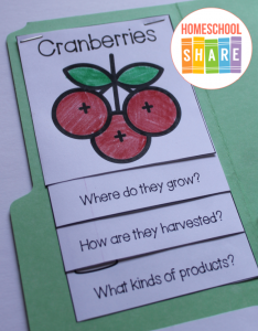 Cranberry Thanksgiving Lapbook - Homeschool Share