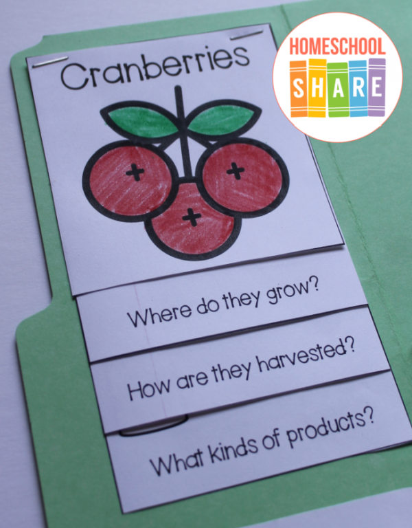 Cranberry Thanksgiving Lapbook - Homeschool Share