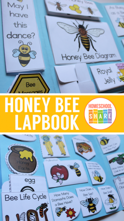 Honeybee Lapbook - Homeschool Share
