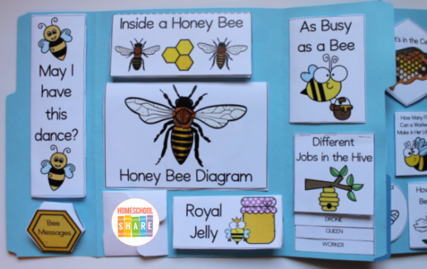 Honeybee Lapbook - Homeschool Share