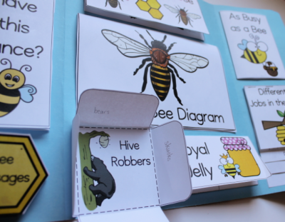 Honeybee Lapbook - Homeschool Share