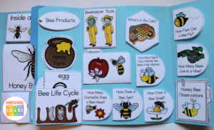 Animal Lapbooks - Homeschool Share