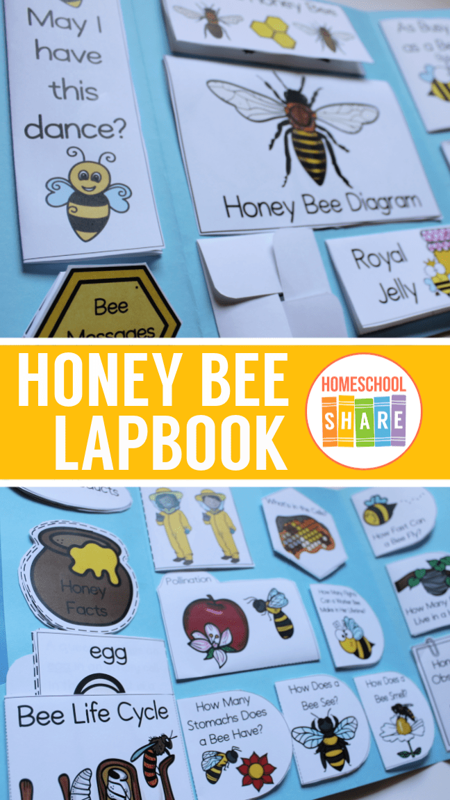 Honeybee Lapbook - Homeschool Share