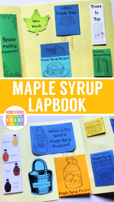 Maple Syrup Lapbook - Homeschool Share