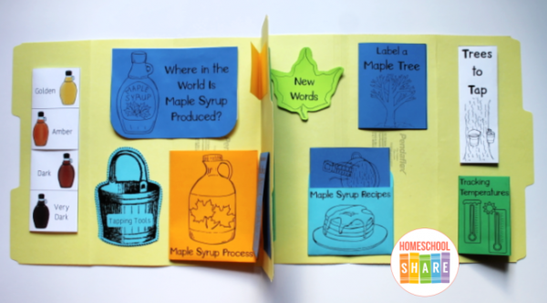 Maple Syrup Lapbook - Homeschool Share