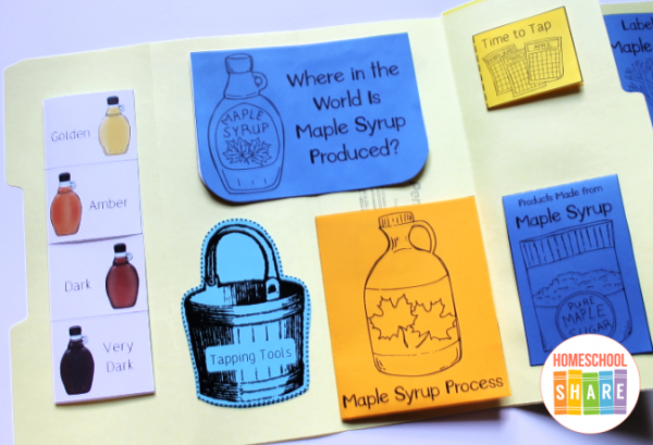 Maple Syrup Lapbook - Homeschool Share
