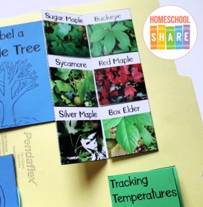 Maple Syrup Lapbook - Homeschool Share