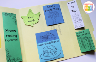 Maple Syrup Lapbook - Homeschool Share