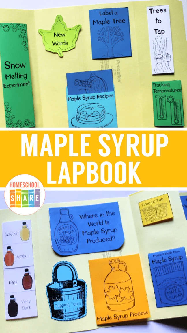 Maple Syrup Lapbook - Homeschool Share