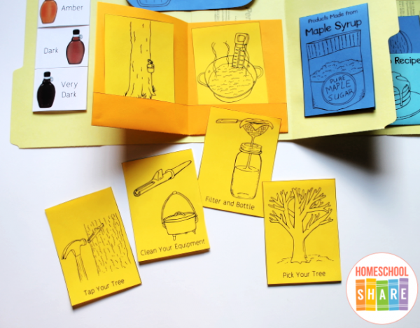 Maple Syrup Lapbook - Homeschool Share