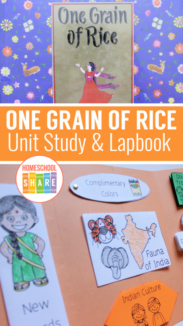 One Grain of Rice Activities - Homeschool Share
