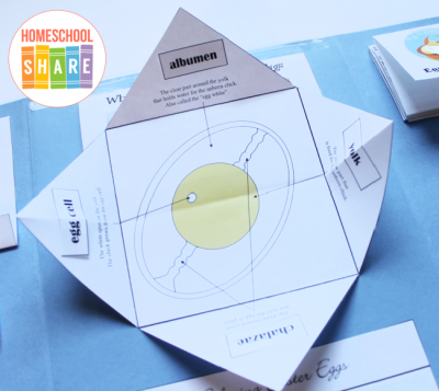 The Legend of the Easter Egg Unit Study and Lapbook - Homeschool Share