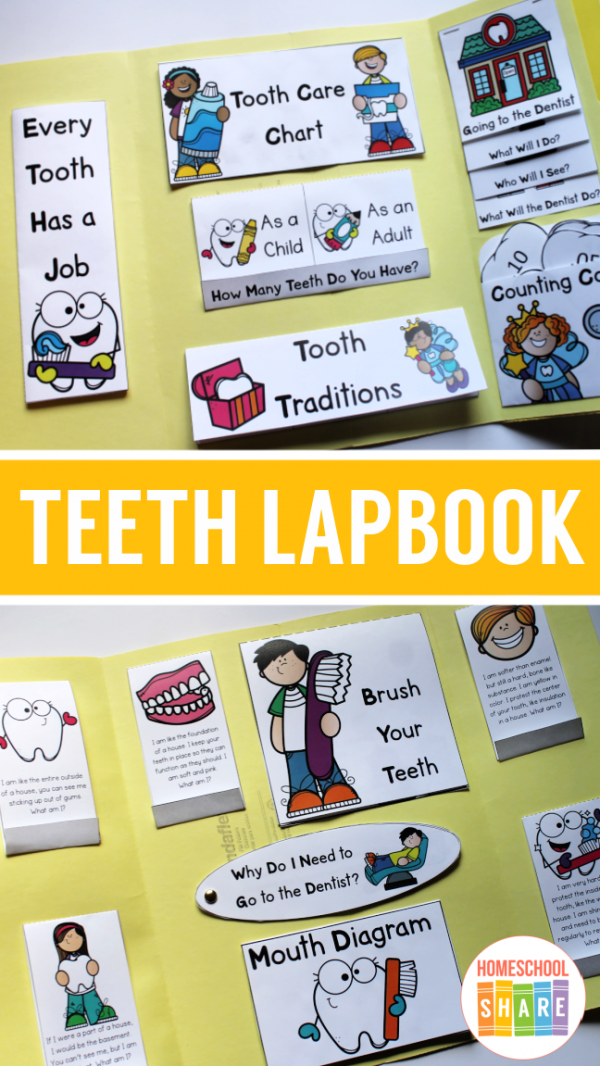 Teeth Unit Study & Lapbook (Free!) - Homeschool Share