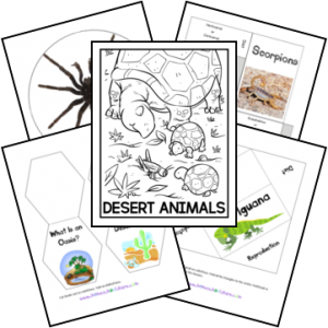 Desert Animals Lapbook - Homeschool Share