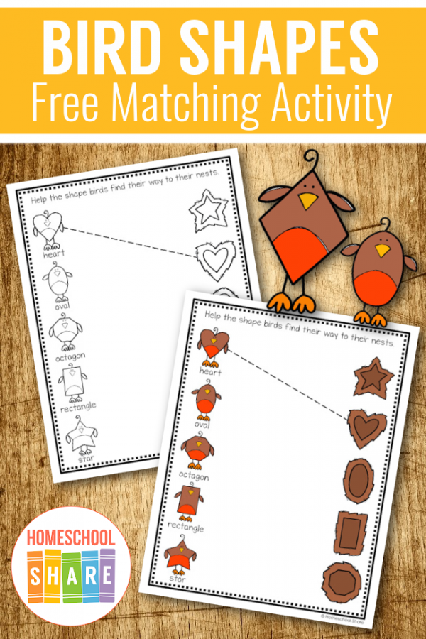 Bird Themed Matching Shapes Worksheets - Homeschool Share