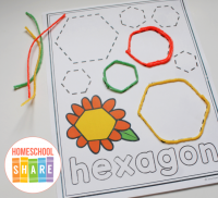 Free Flower Shapes Tracing Worksheets - Homeschool Share