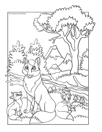 Forest Animal Coloring Pages - Homeschool Share